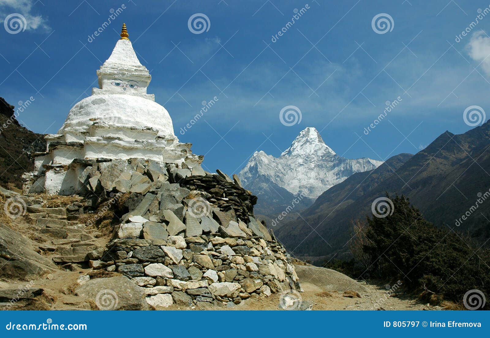 Royalty Free Images, Cartoons, Illustrations And Photos Designed By ...