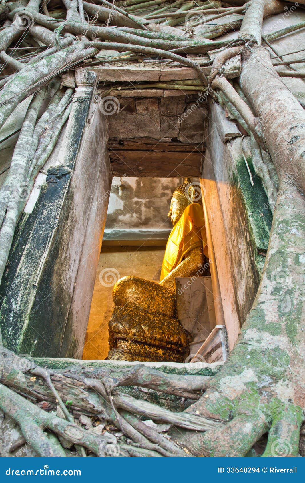 Buddhist Church Surrounded by Tree Root Stock Photo - Image of building ...