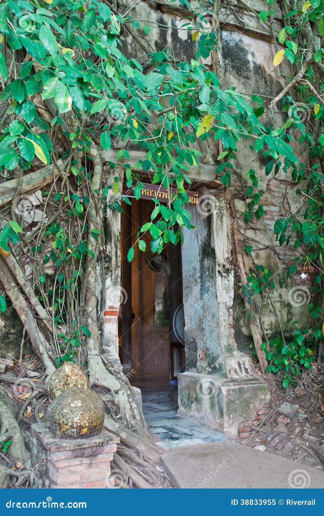 Buddhist Church Surrounded by Tree Root Stock Image - Image of building ...