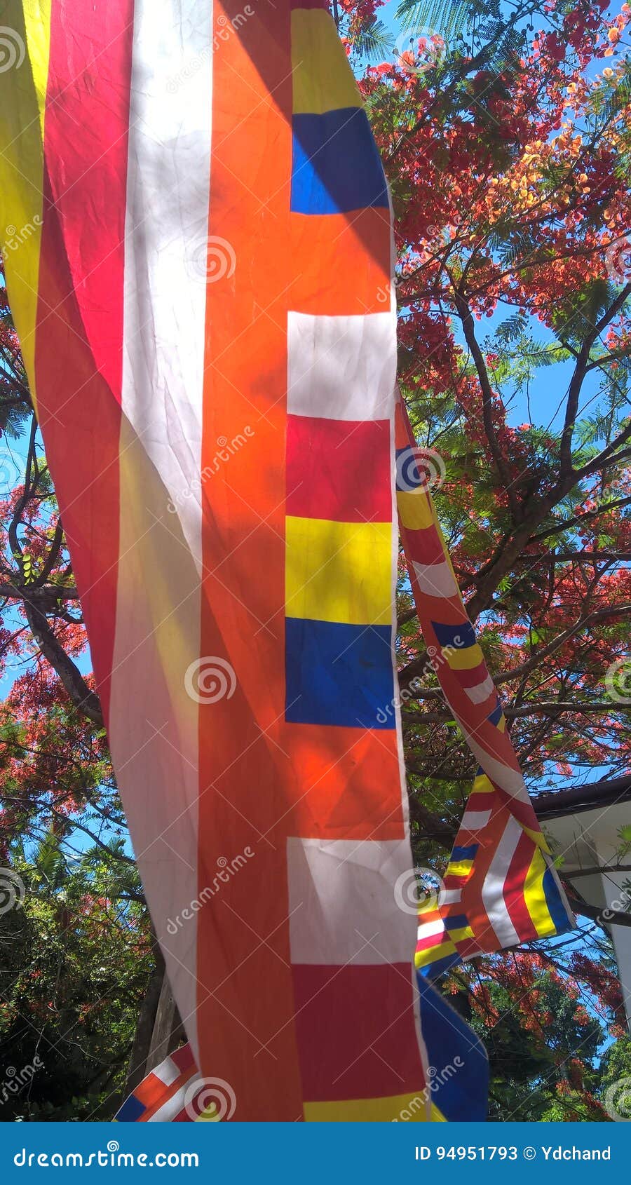 Buddhist Flag Royalty-Free Stock Photography | CartoonDealer.com #56767775