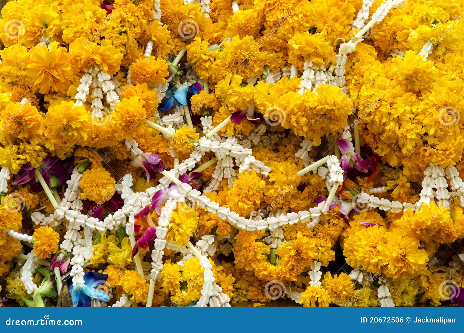 Buddhist Flower Offering in Thailand Temple Stock Photo - Image of ...