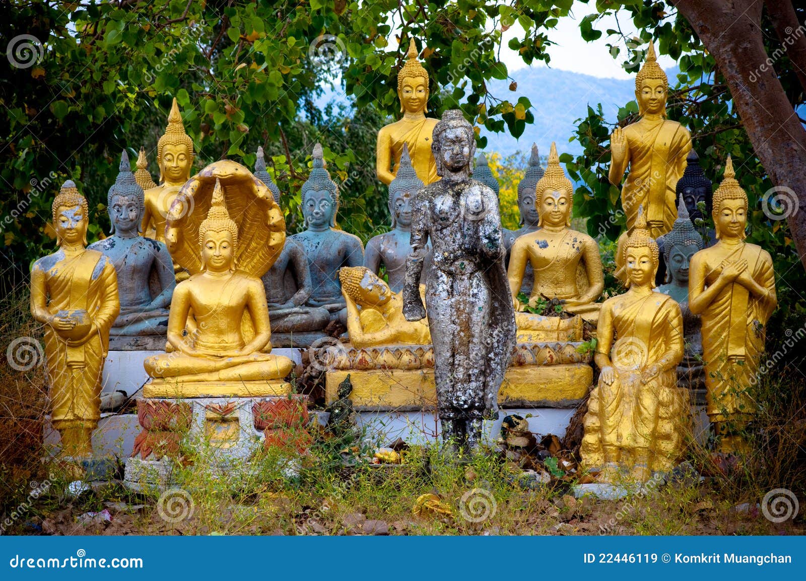 Buddhist image stock image. Image of east, asia, spiritual - 22446119