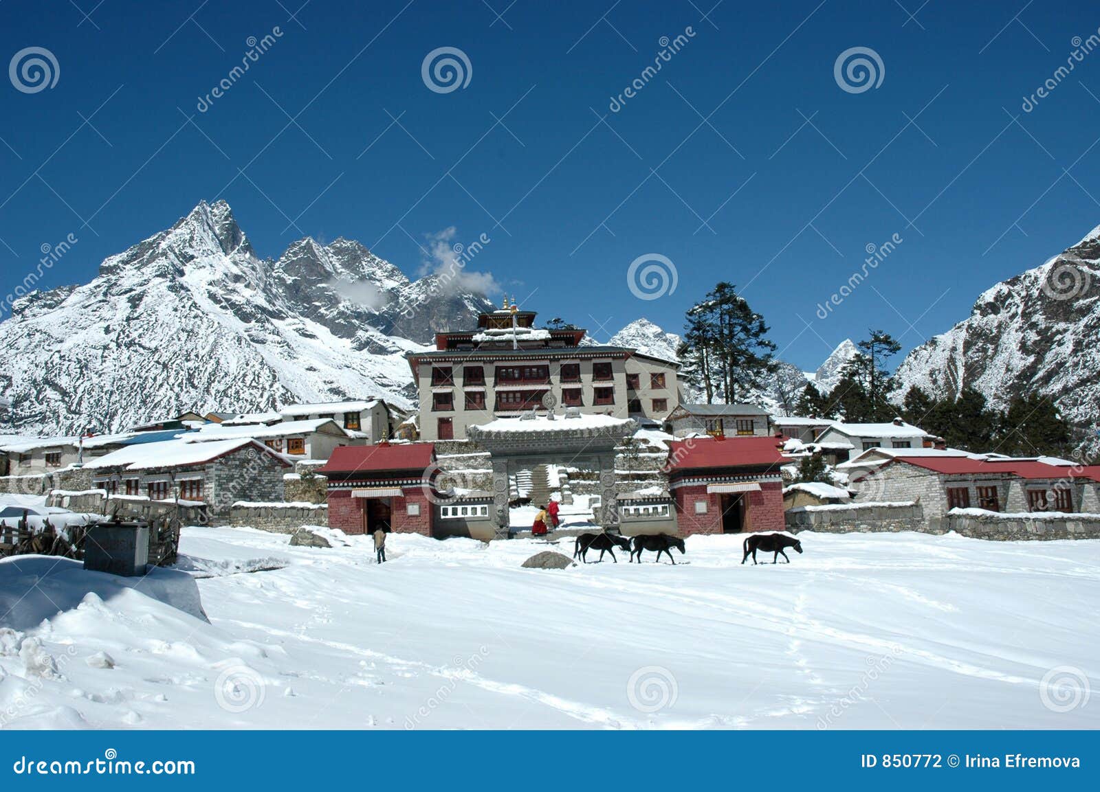 Buddhist Monastery in the Himalayas Stock Photo - Image of buddhism ...