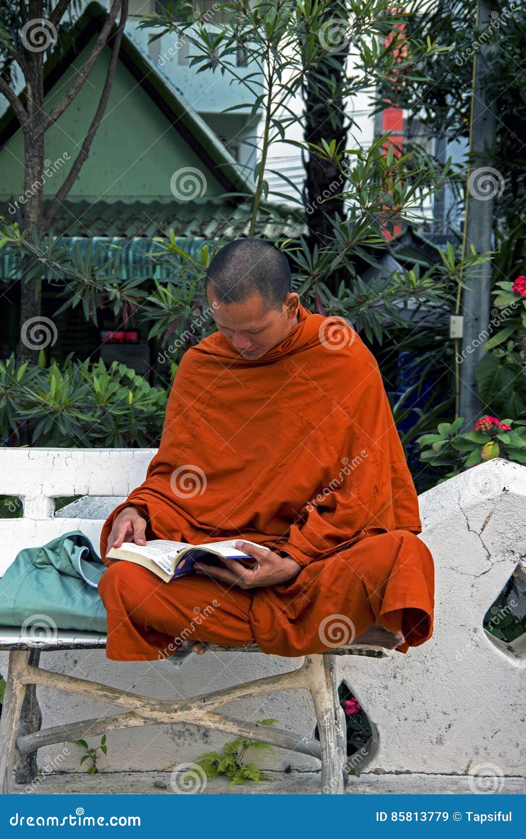 Buddhist monk reading editorial stock image. Image of bald - 85813779