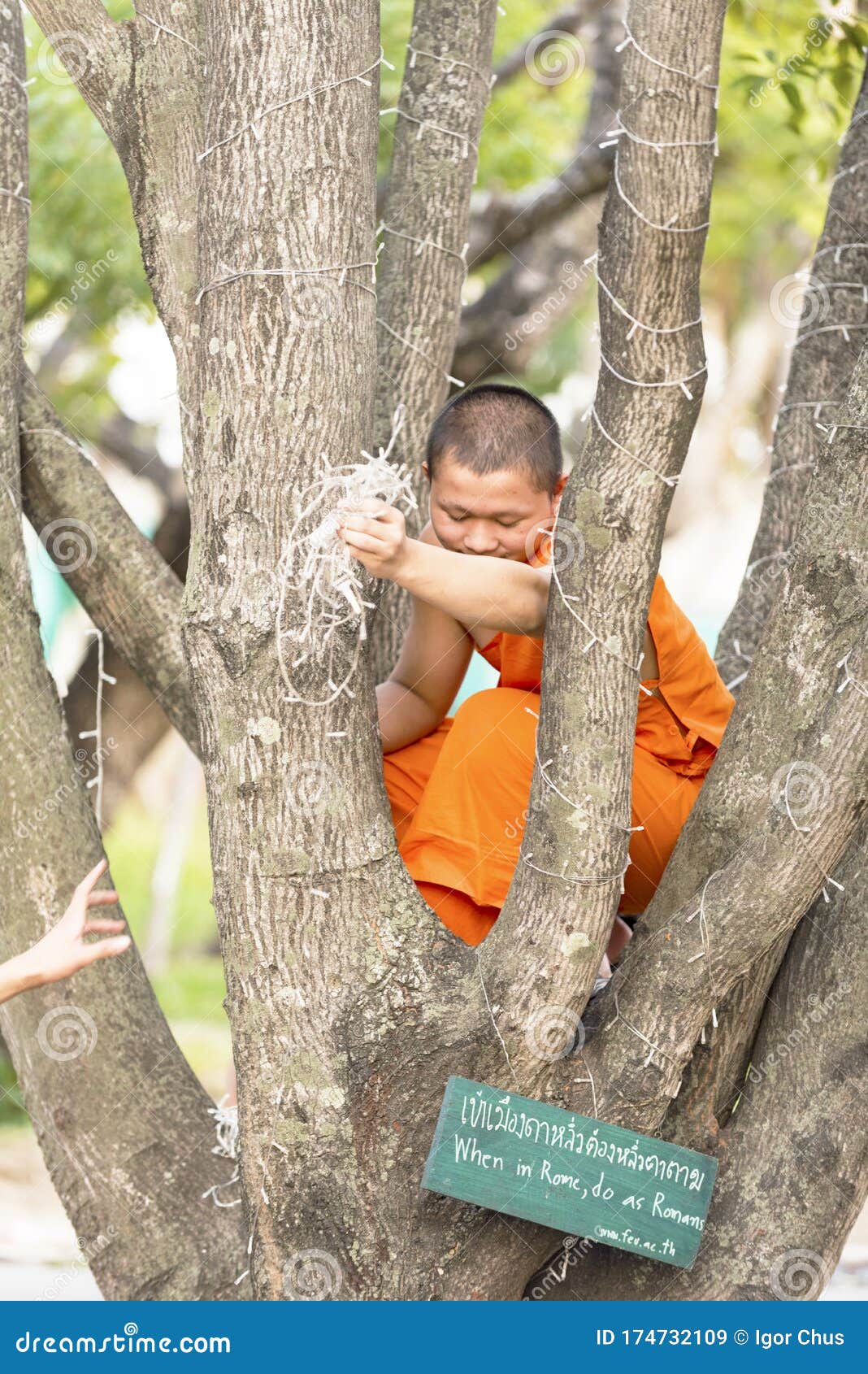 Buddhist Monk on Tree in Buddhist Temple Editorial Stock Image - Image ...