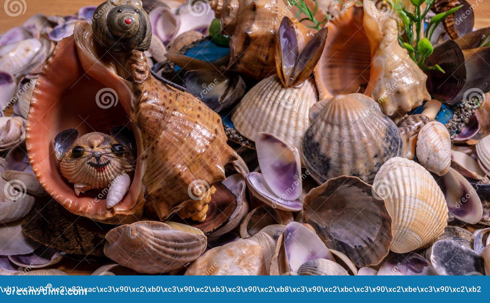 Buddhist Prayer Beads Conch Shell on the Sea Rocks Surrounded by Sea ...