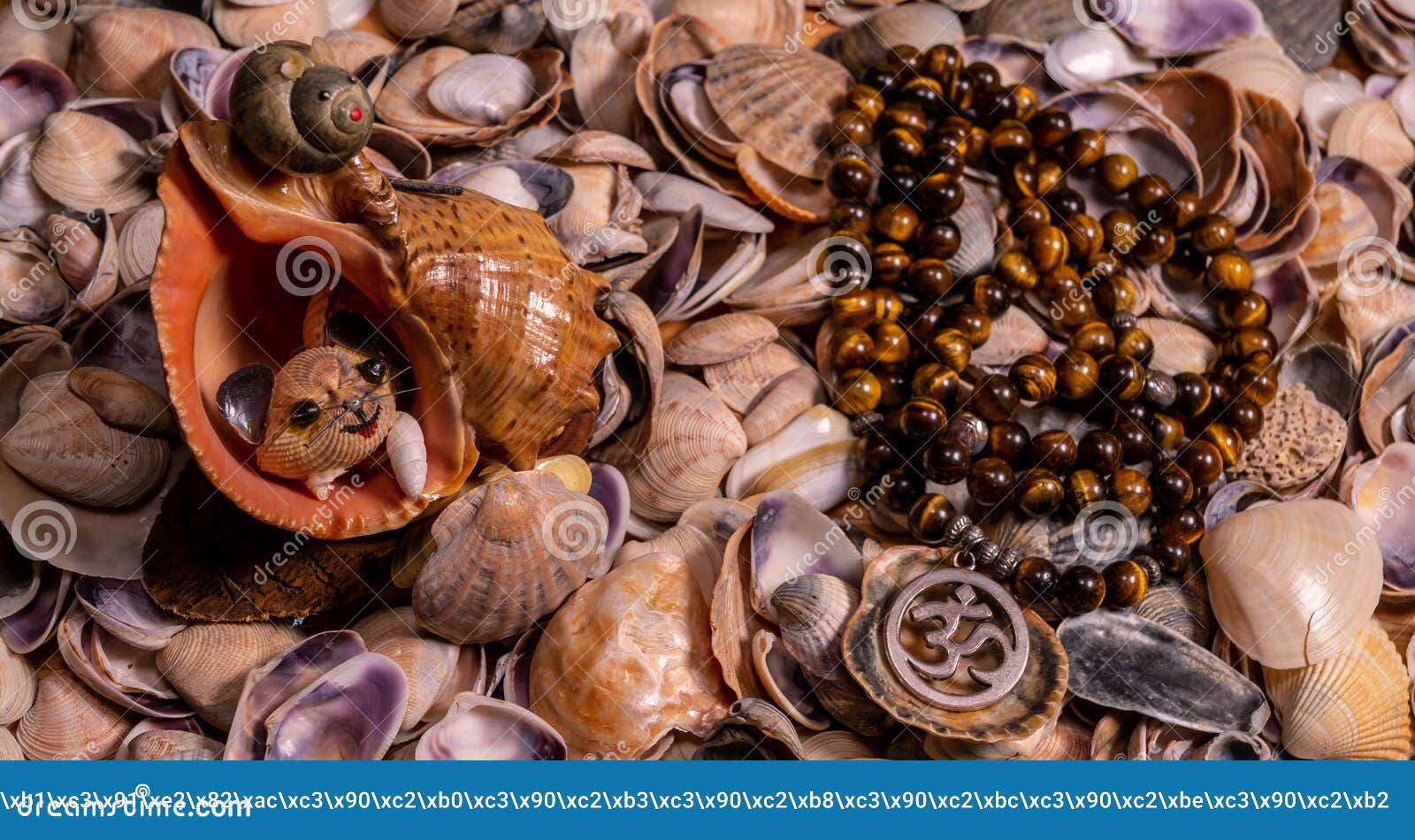 Buddhist Prayer Beads Mala are the Conch Shell on the Sea Rocks ...