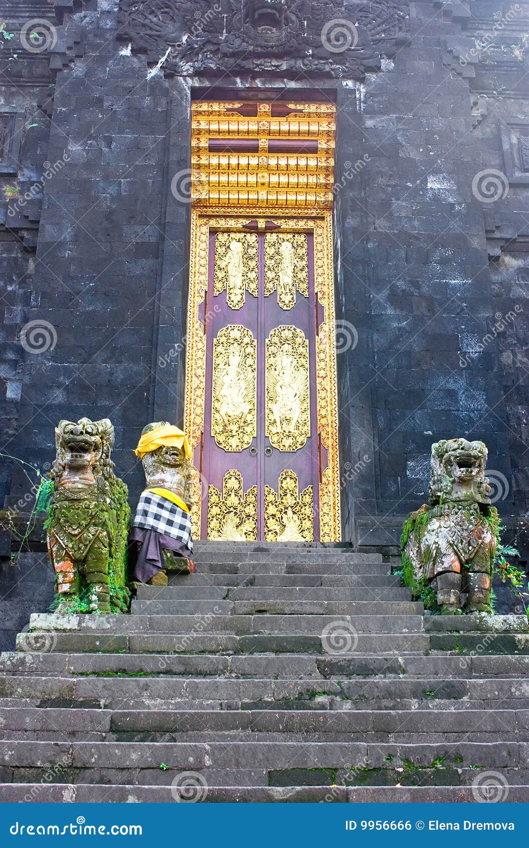 Buddhist temple entry stock photo. Image of overgrown - 9956666