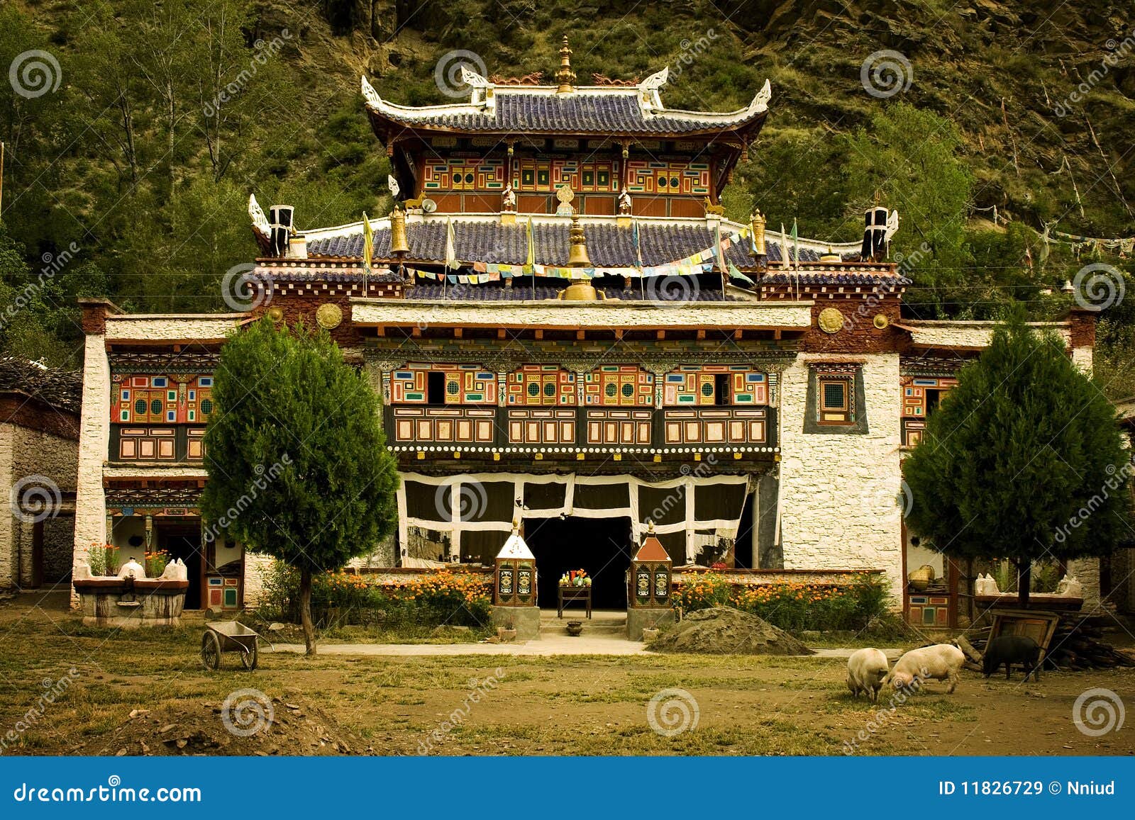 Buddhist Temple in Tibet, Nature All Around Stock Image - Image of flag ...