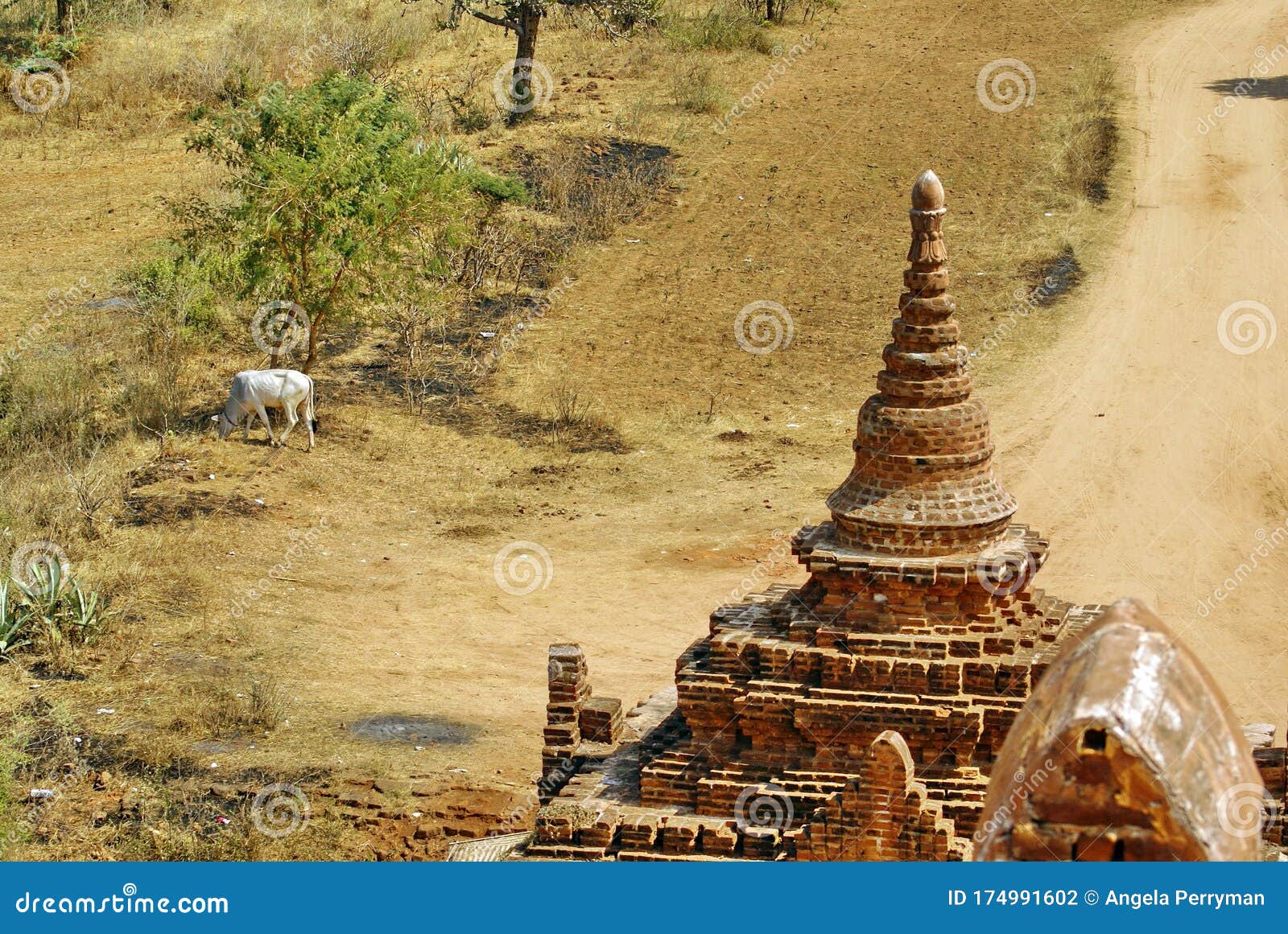 Buddhist Temples in Myanmar Stock Photo - Image of world, asia: 174991602