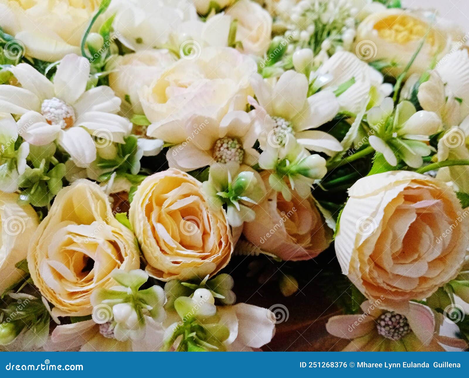 Budding roses stock photo. Image of roses, stamen, budding - 251268376