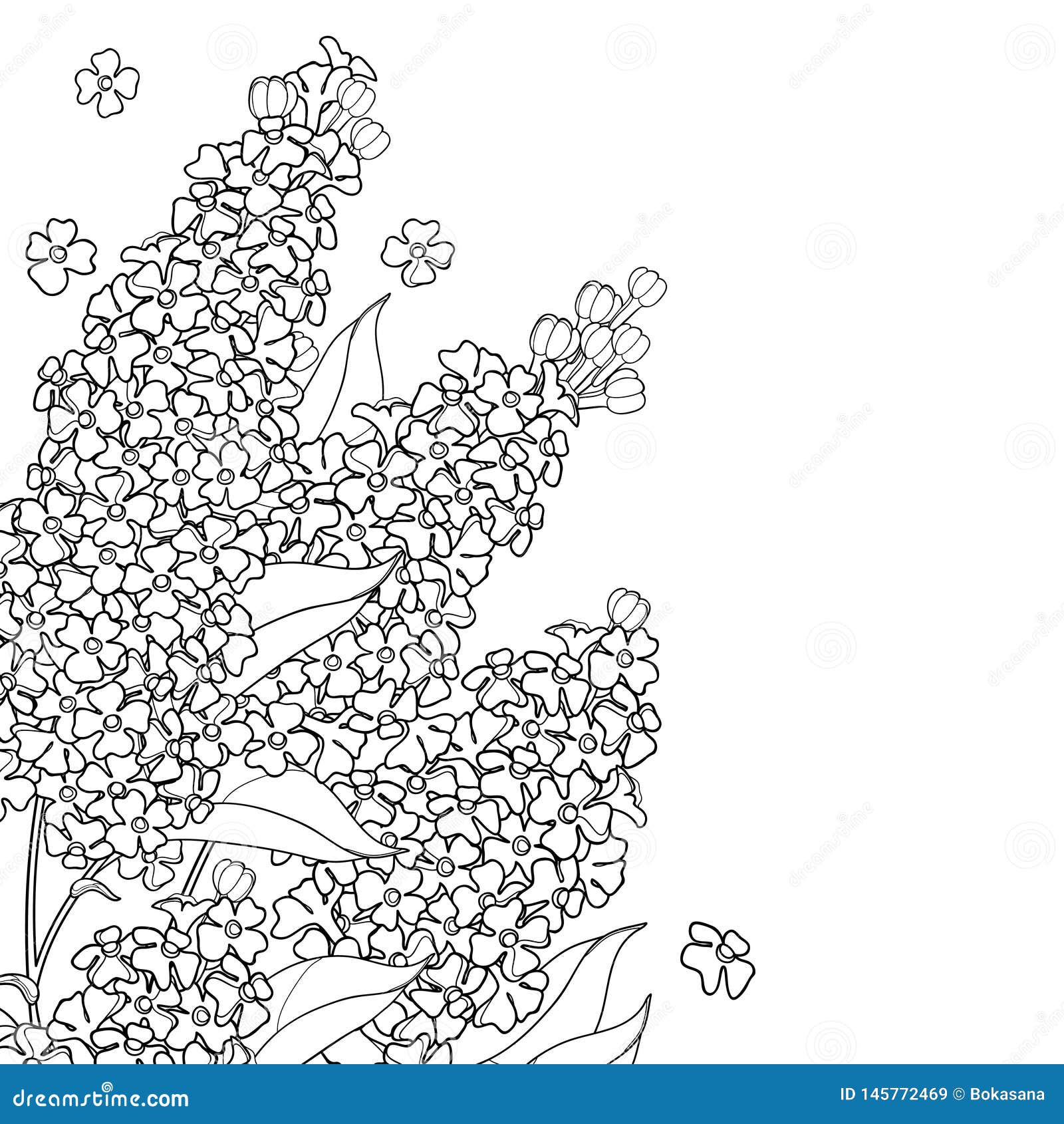 Plant Buddleia Stock Illustrations – 495 Plant Buddleia Stock ...