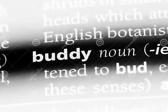 Buddy stock photo. Image of printed, page, english, dictionary - 114407800