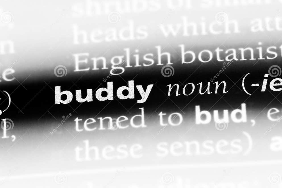 Buddy stock photo. Image of printed, page, english, dictionary - 114407800