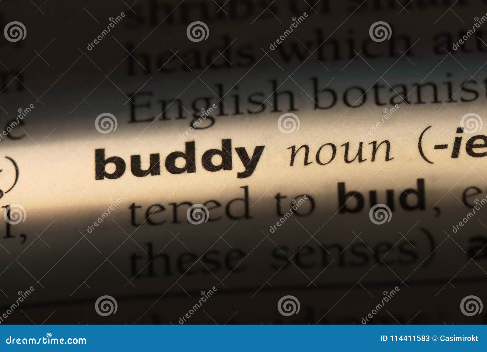 Buddy stock image. Image of paper, closeup, dictionary - 114411583