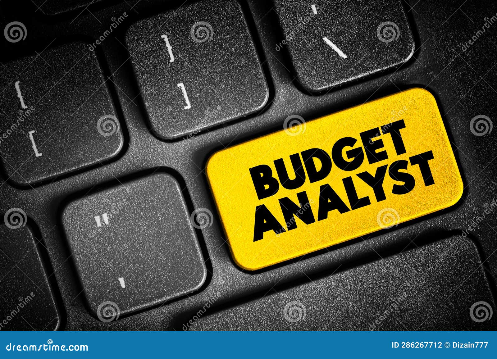 Budget Analyst are Responsible for Reviewing the Organization S Budget ...