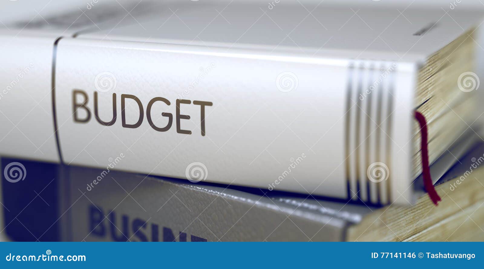 Budget - Business Book Title. 3D Illustration. Stock Illustration ...