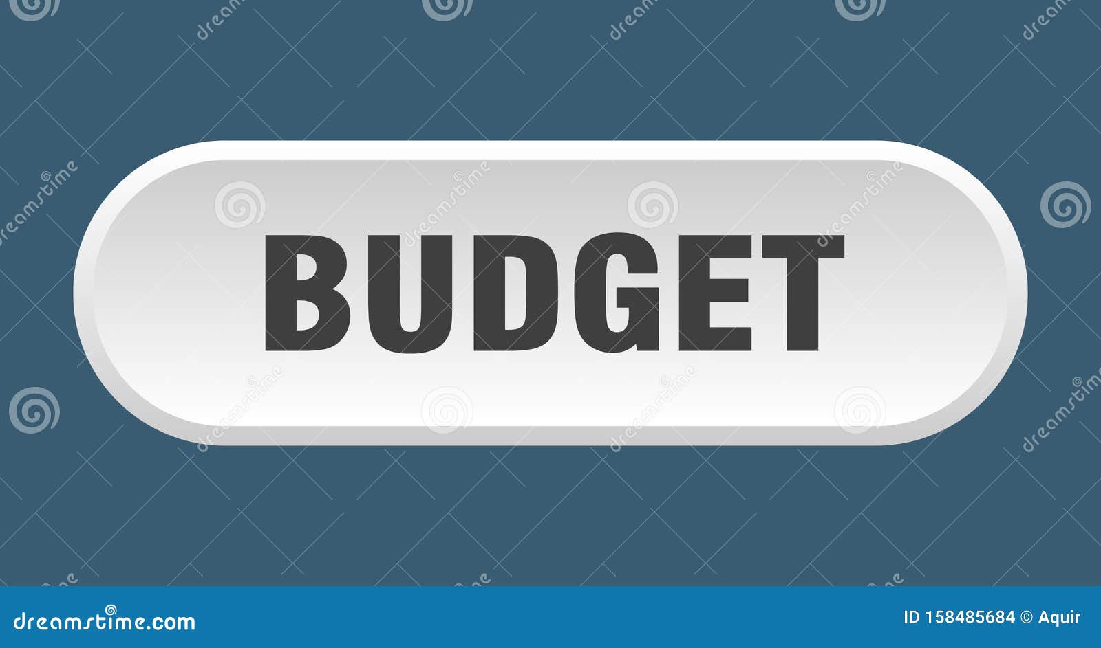 Budget button stock vector. Illustration of template - 158485684
