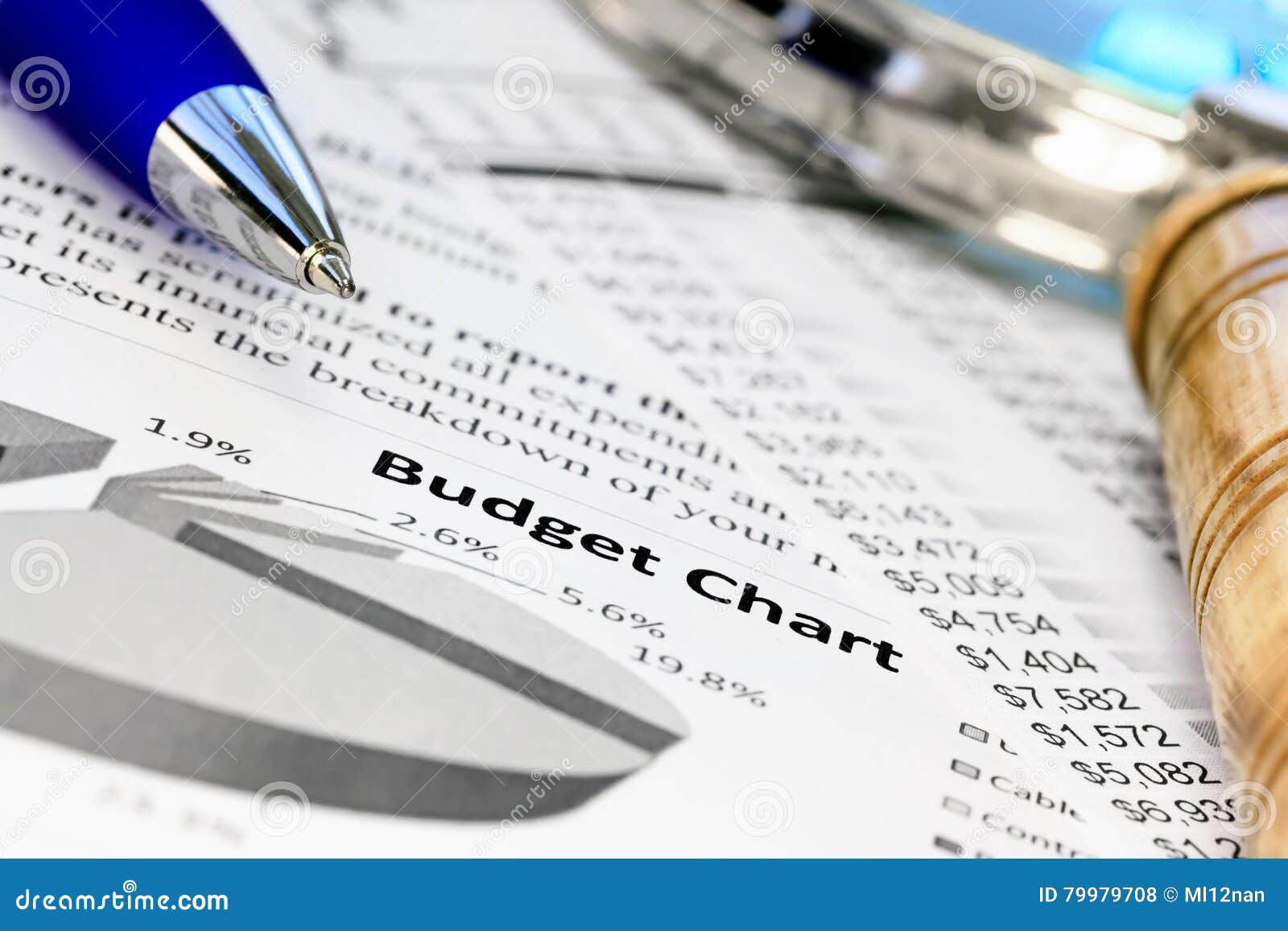 Budget Charts stock photo. Image of budget, analysis - 79979708