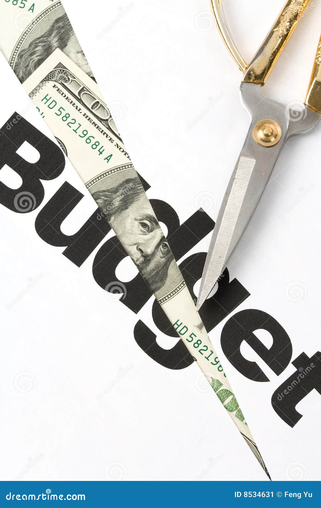 Budget Cut stock image. Image of problem, economy, cutting - 8534631