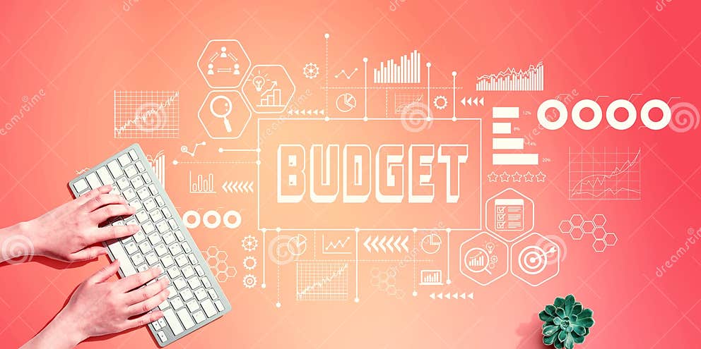 Budget Theme with Person Using Computer Keyboard Stock Illustration ...