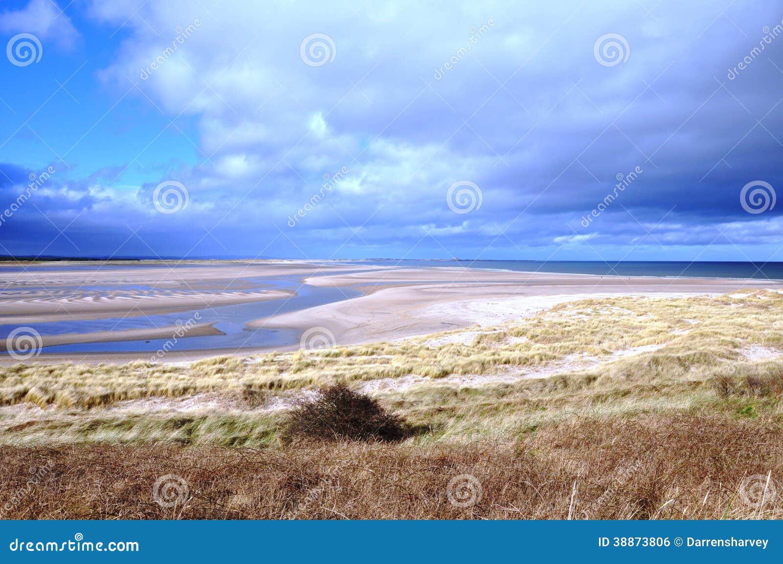 Budle Bay in Northumberland Stock Photo - Image of sunshine, budle ...