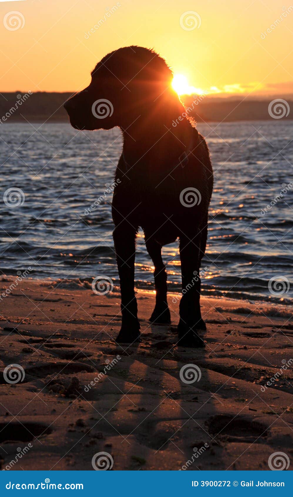 Budle Stock Photos - Free & Royalty-Free Stock Photos from Dreamstime