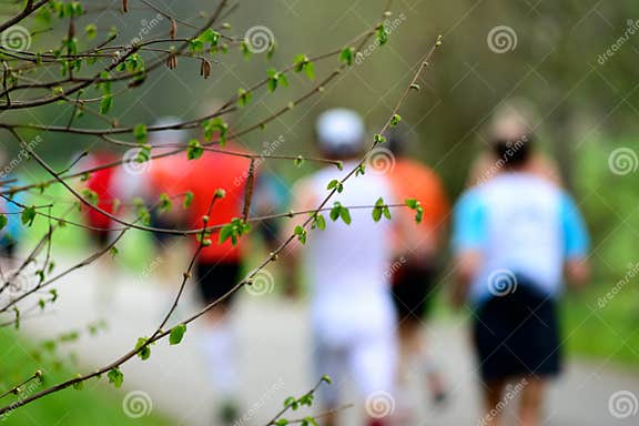 Buds in Spring with Runners Stock Image - Image of exercise ...