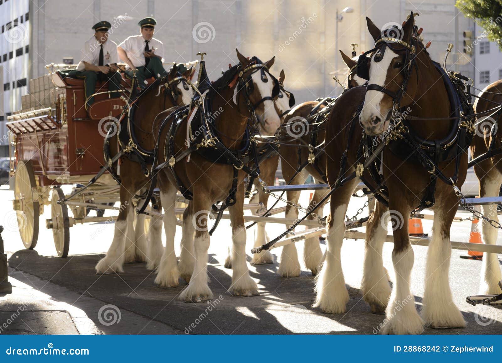 Budweiser Commercial Horse Sleigh