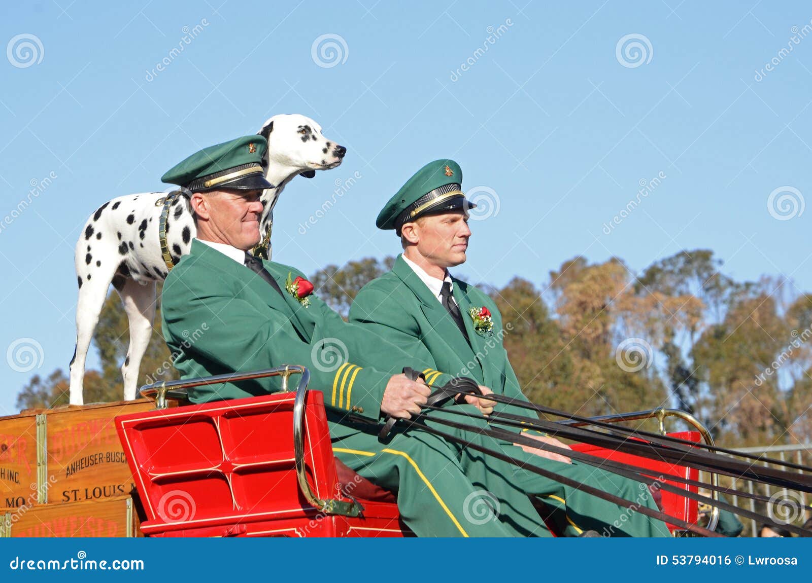 Rose Parade Budweiser Wagon Drivers Editorial Photo - Image of parade ...
