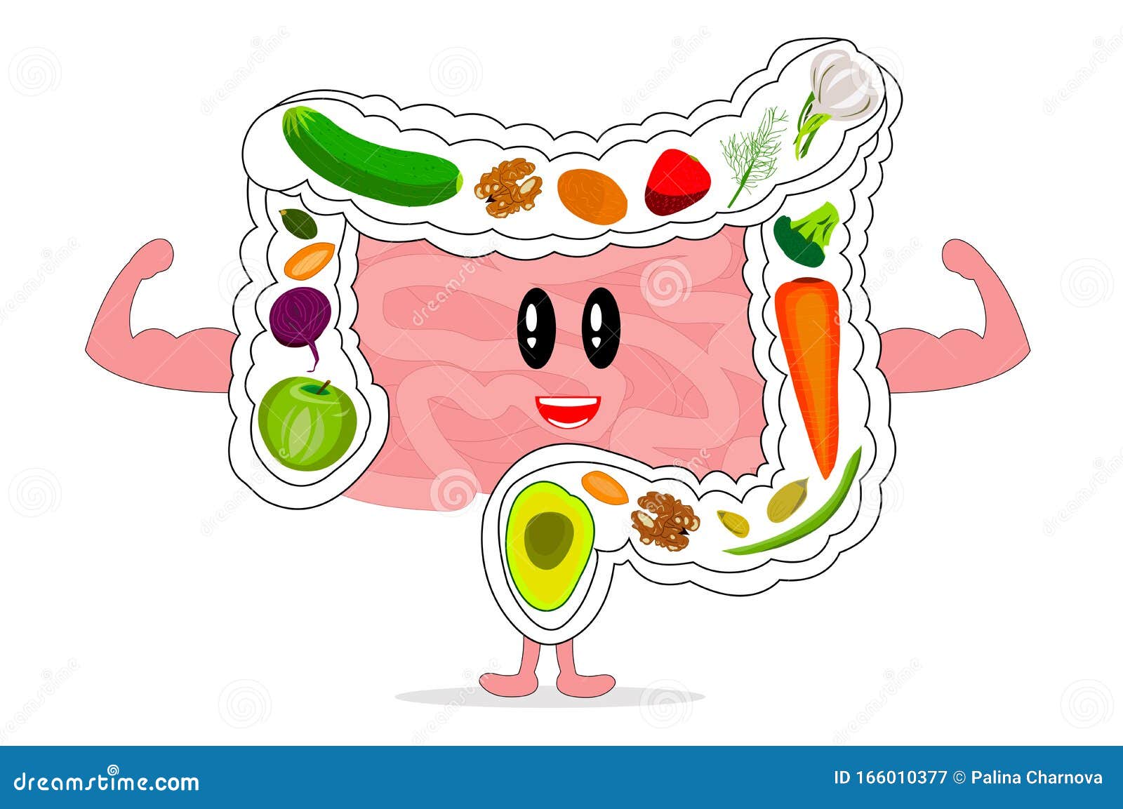 Buena Digestión Intestinos Fuertes Alimentos útiles Para Intestinos ... Buena Digestión Intestinos Fuertes Alimentos útiles Para Intestinos ...