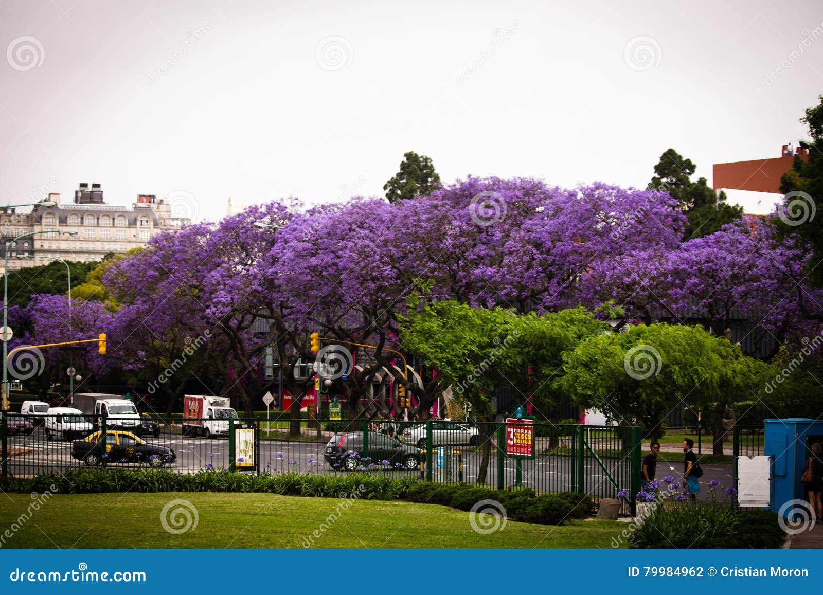 Buenos Aires Street editorial photography. Image of garden - 79984962