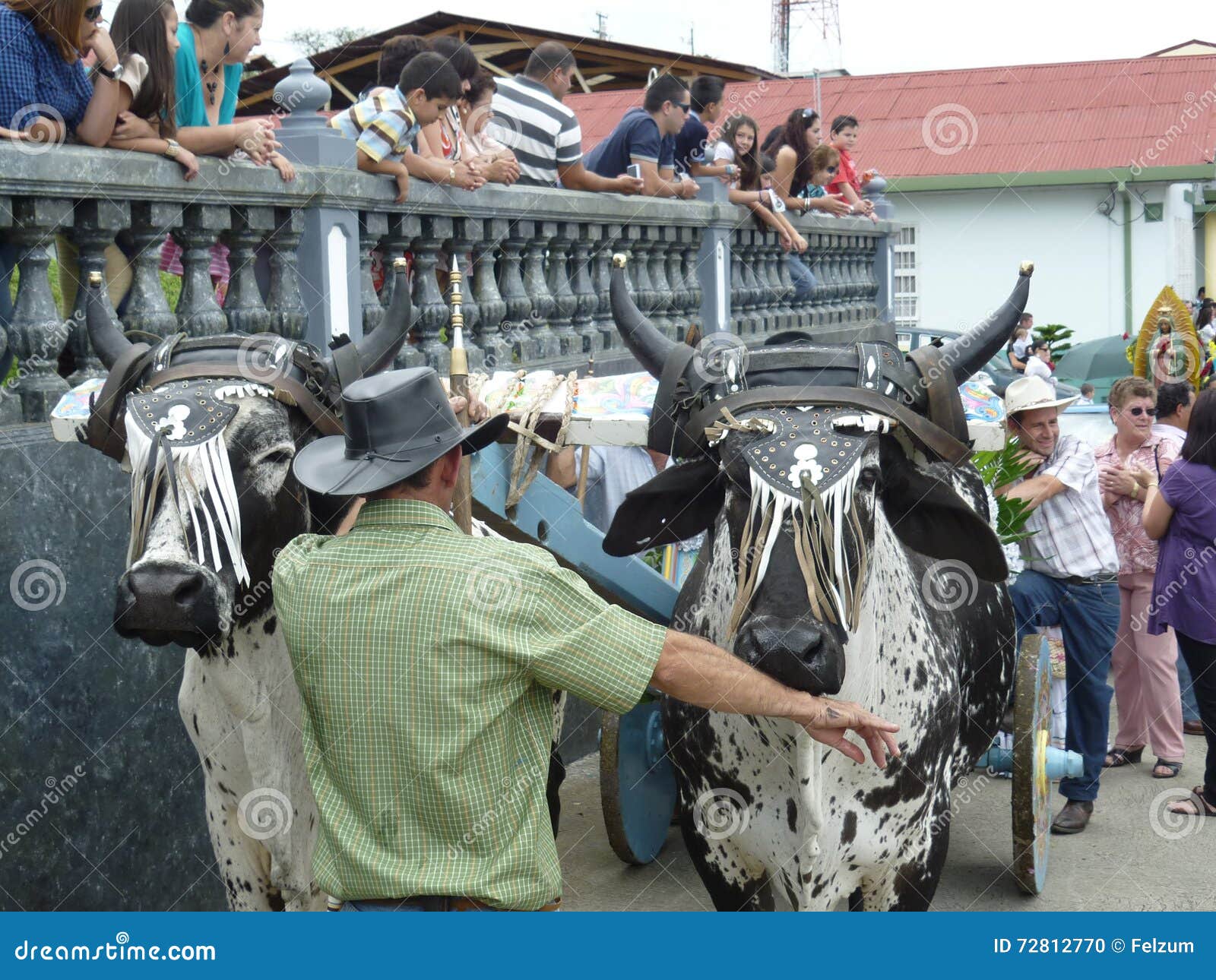 Bueyes desfile, Costa Rica imagen editorial. Imagen de carros - 72812770