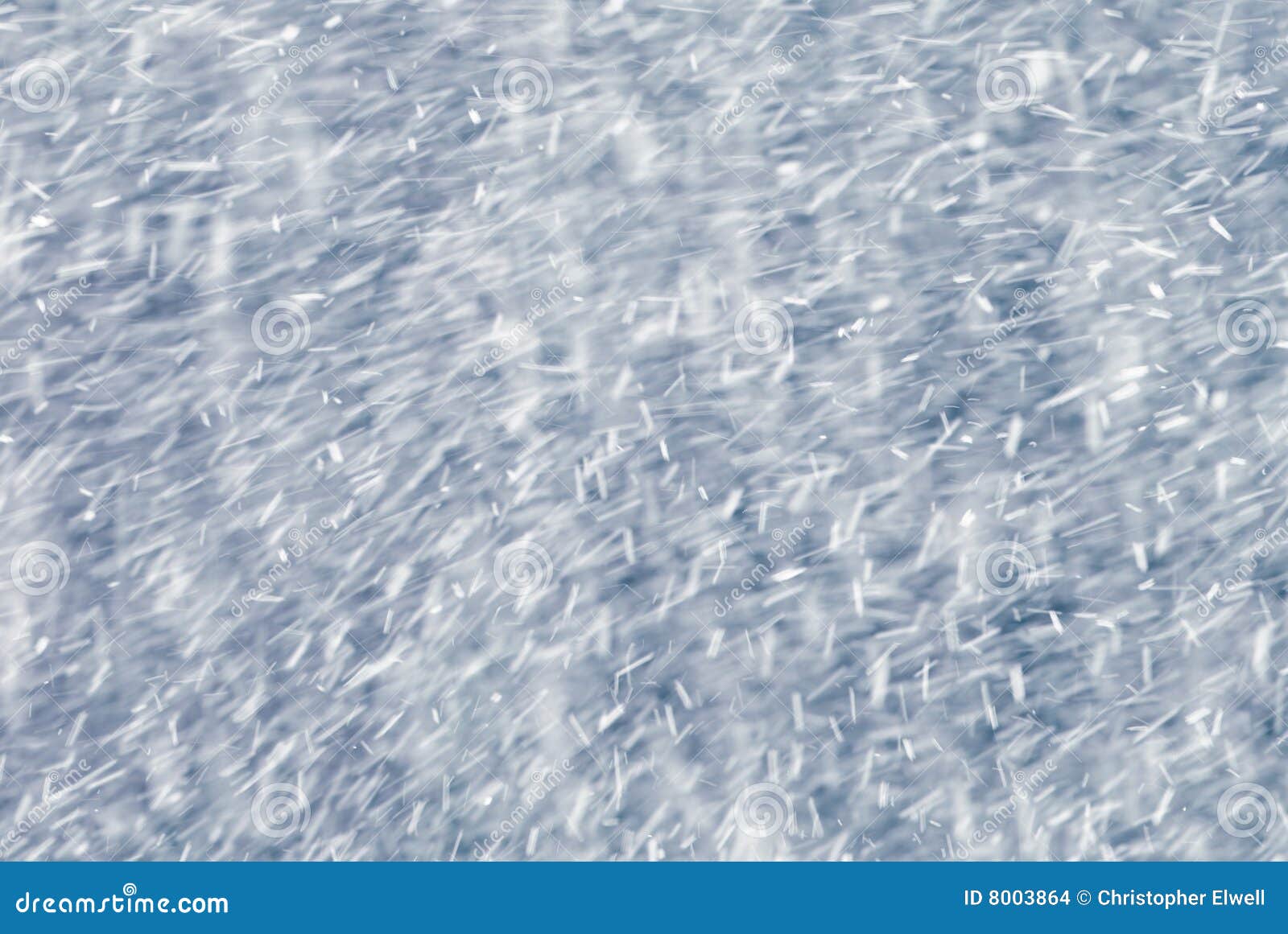 Bufera di neve fotografia stock. Immagine di snowstorm - 8003864