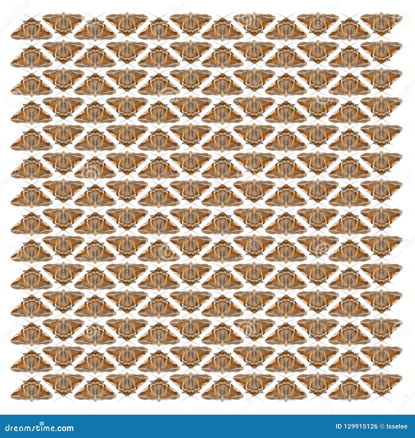 Buff Arches, Habrosyne Pyritoides, in Repeated Pattern Stock Photo ...