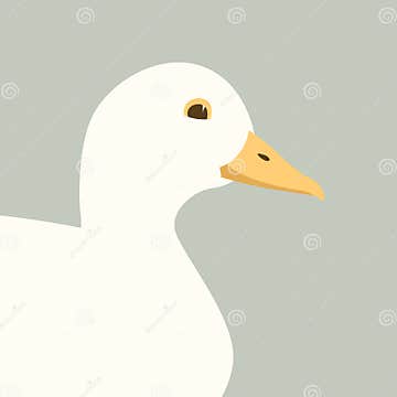 Buff Duck Vector Illustration Flat Style Profile Stock Vector ...