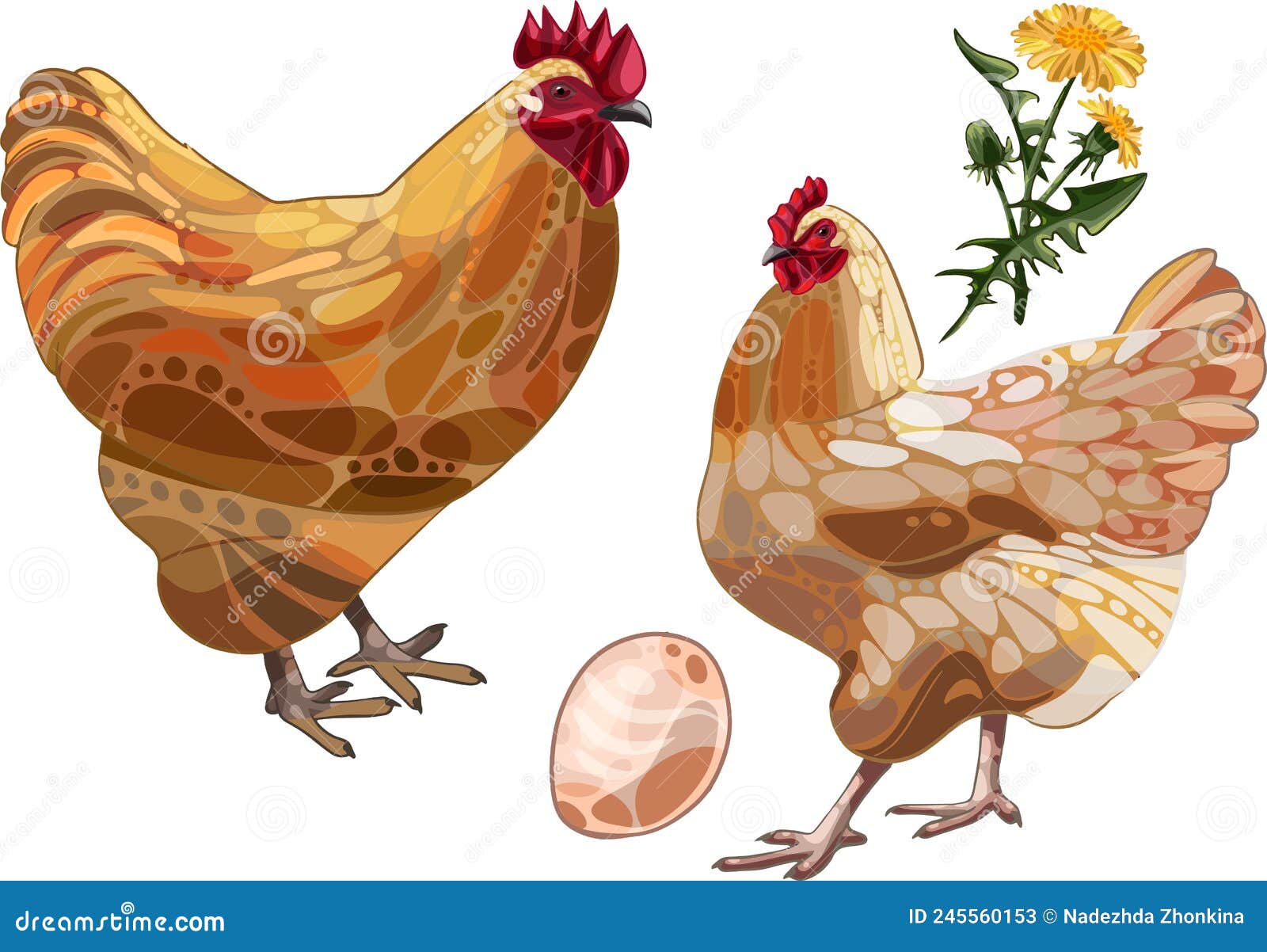 Buff Orpingtons Cartoon Vector | CartoonDealer.com #245560153