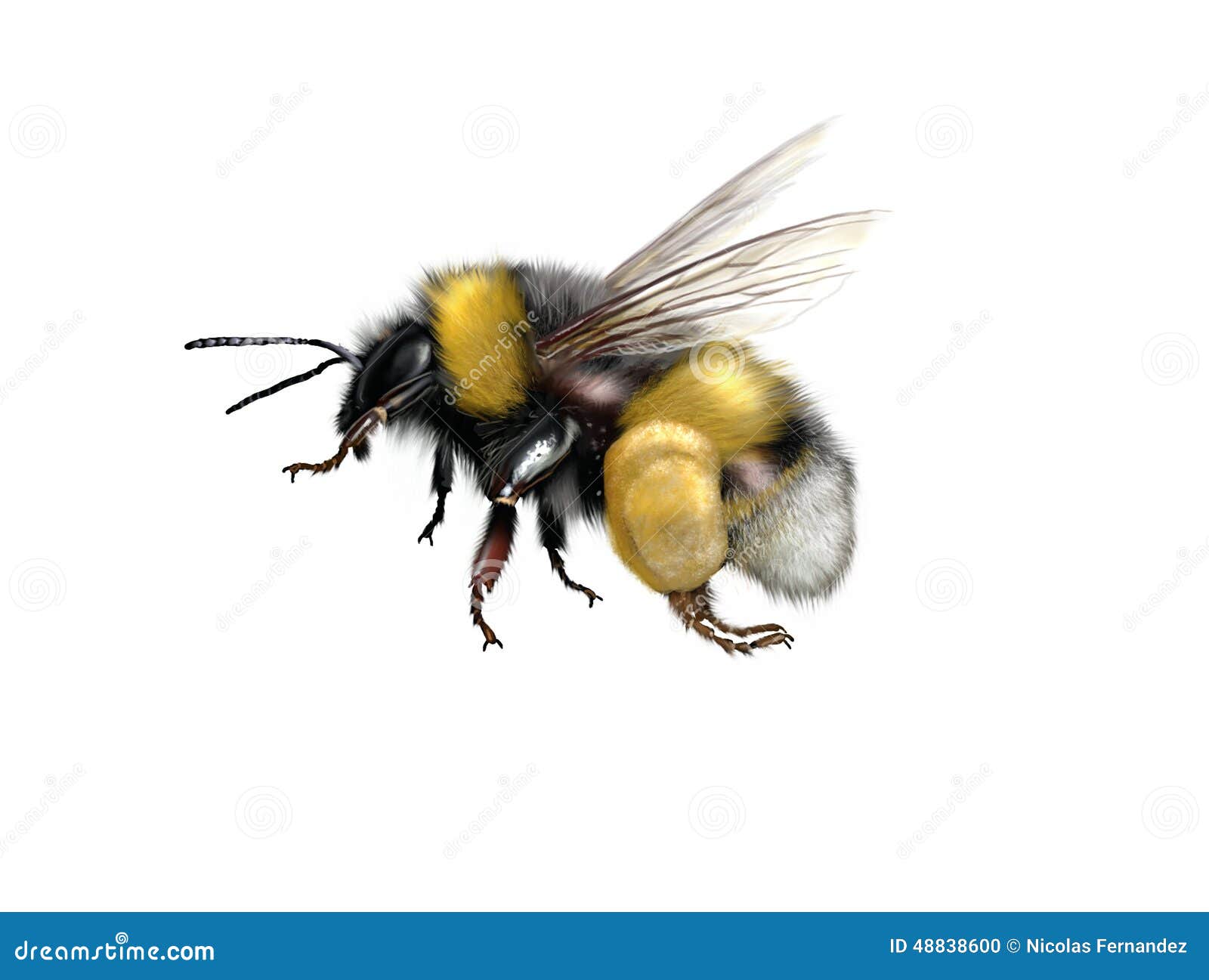 Buff Cartoons, Illustrations & Vector Stock Images - 4205 Pictures to ...