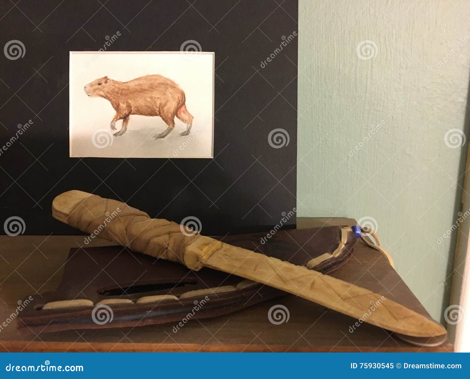 Buffalo bone knife editorial image. Image of capybara - 75930545