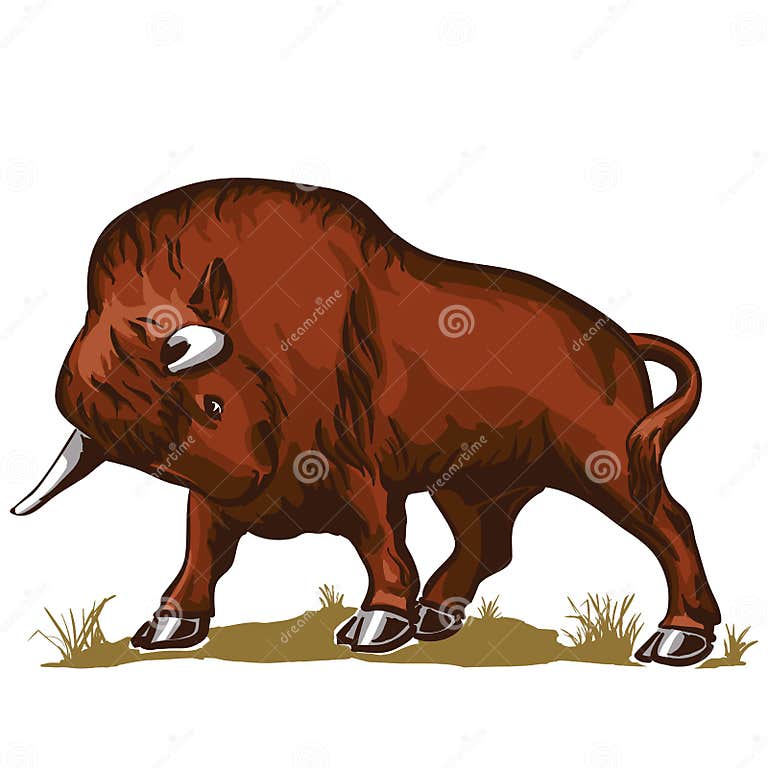 Buffalo bull bison stock vector. Illustration of ornate - 71689956