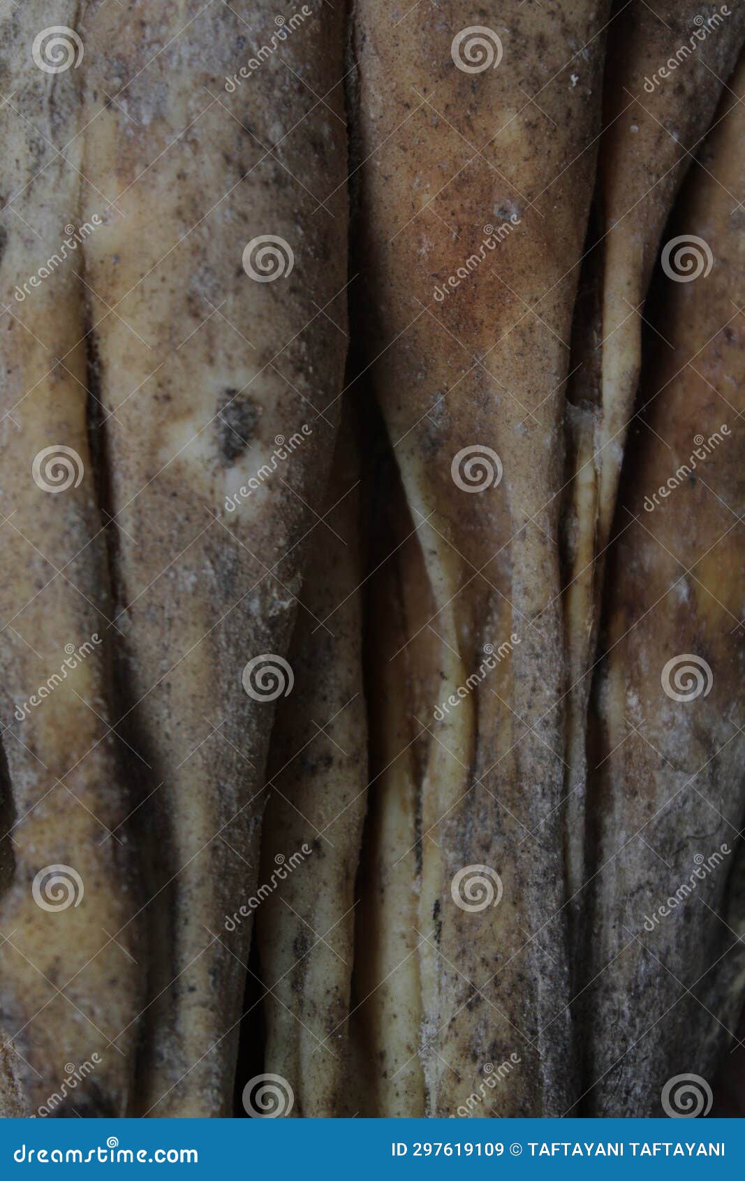 Buffalo Fat Becomes Crystals Stored for a Long Time Stock Image - Image ...