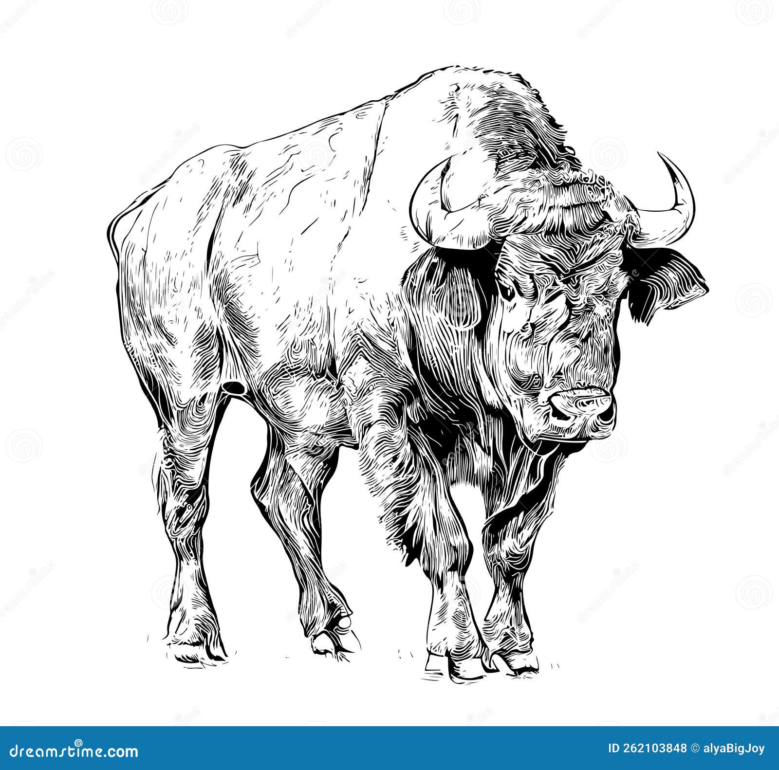 Buffalo Hand Drawn Sketch Animals Illustration. Stock Vector ...