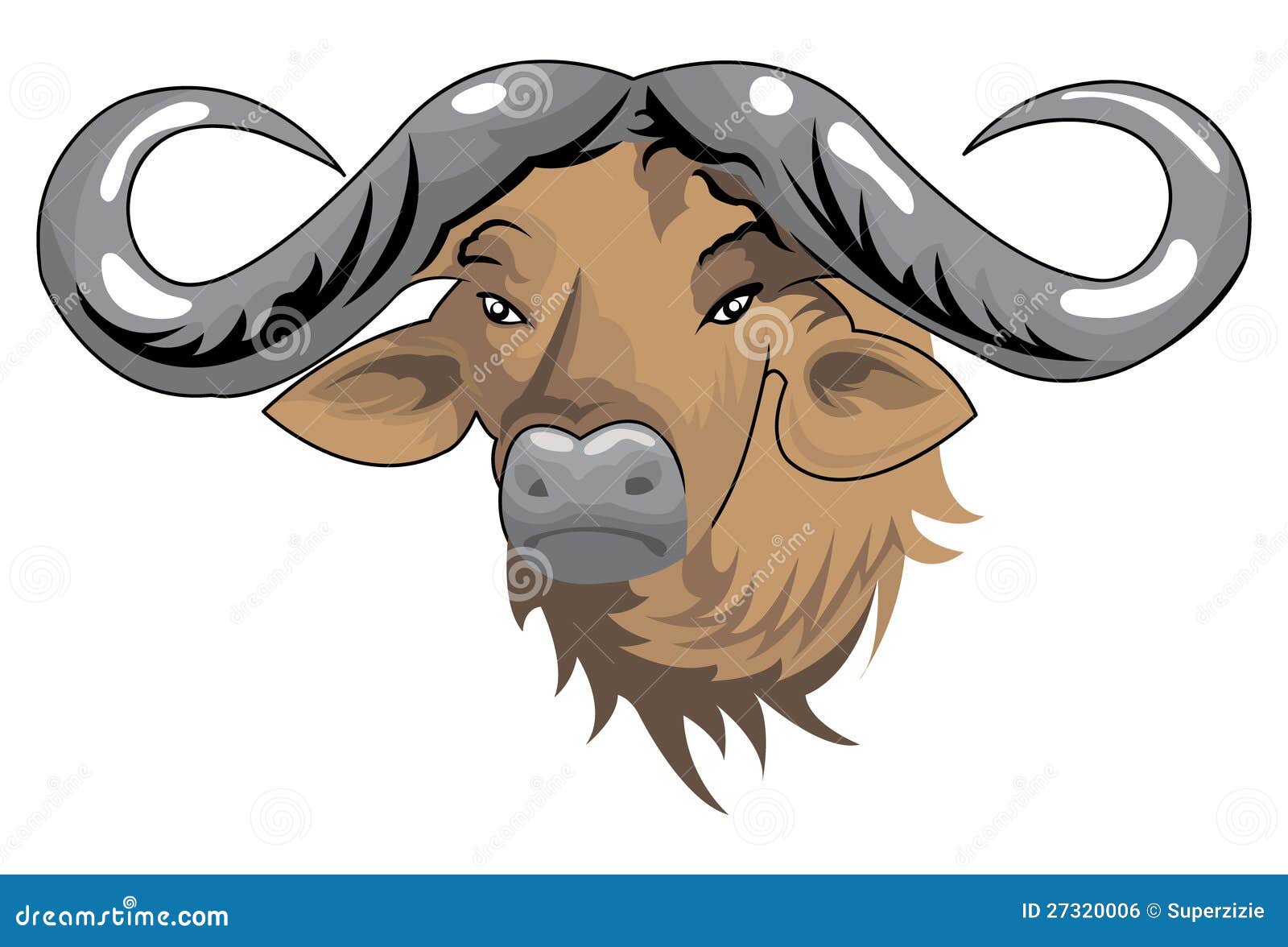 Buffalo head stock vector. Illustration of herbivore - 27320006