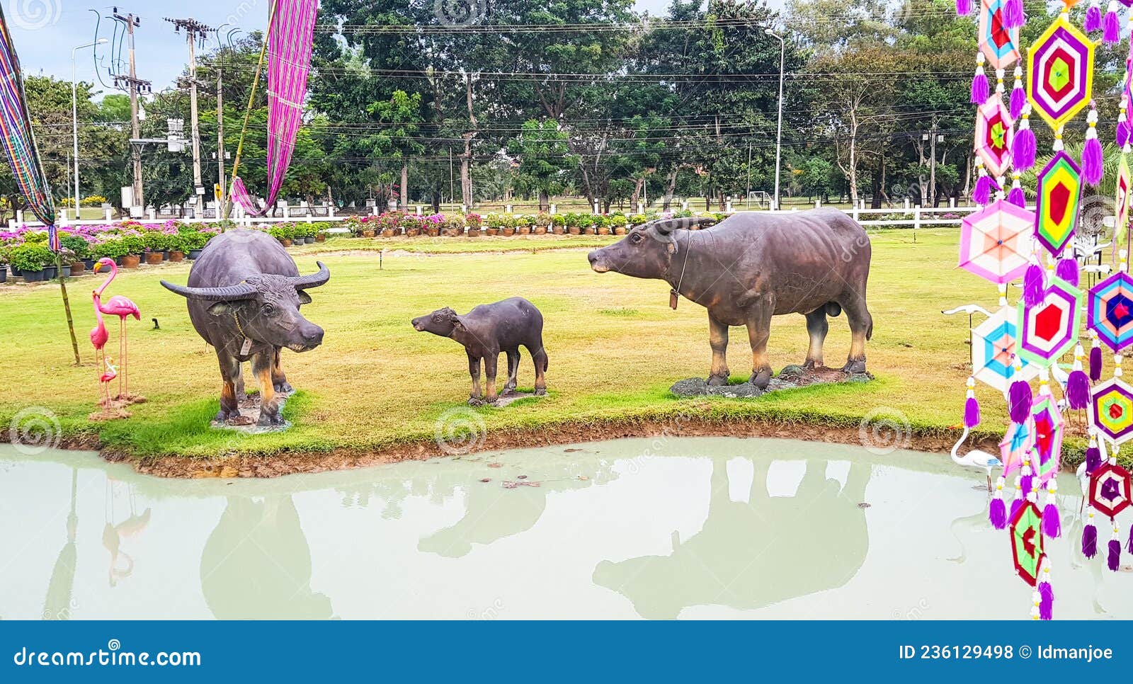 Buffalo models editorial stock photo. Image of rice - 236129498