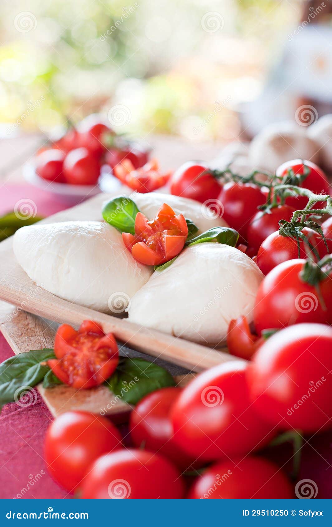 Buffalo Mozzarella - Mozzarella Di Bufala - Italian Cheese Stock Photo ...