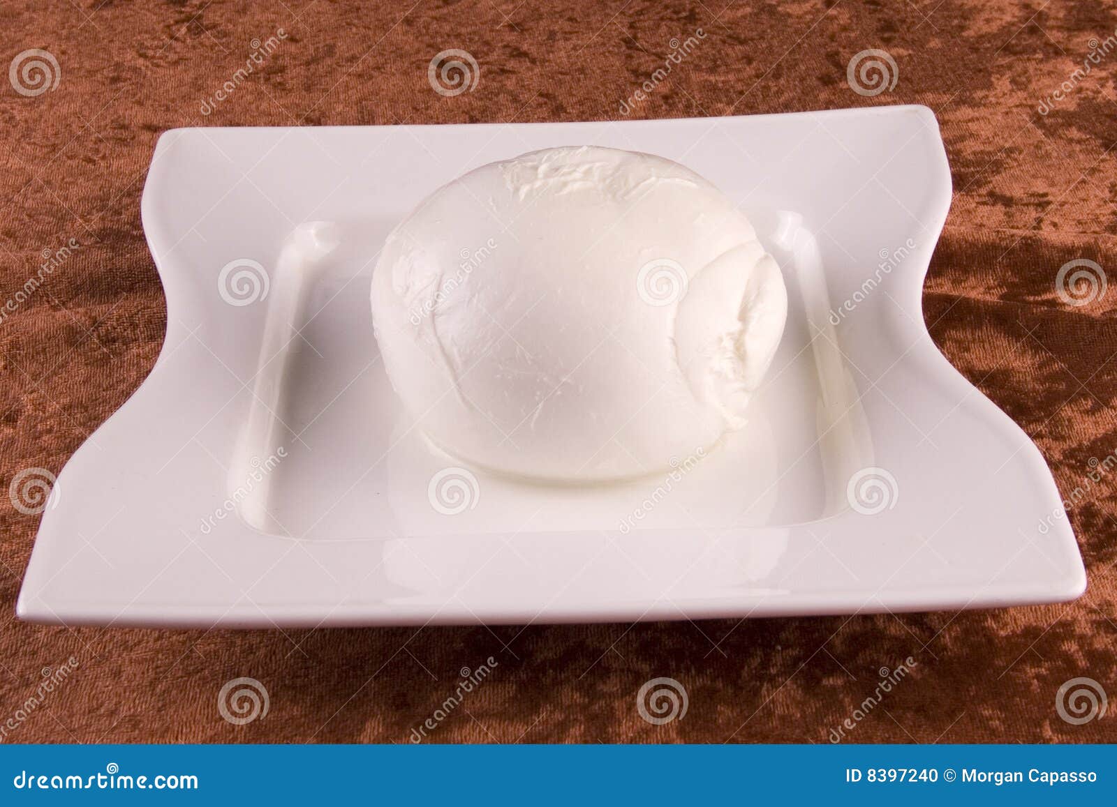 Buffalo mozzarella cheese stock photo. Image of milk, processed - 8397240