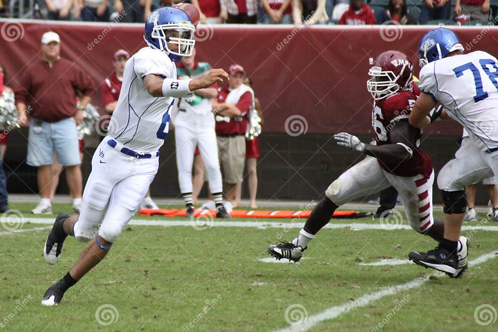 Buffalo Quarterback Zach Maynard Editorial Stock Image - Image of coach ...