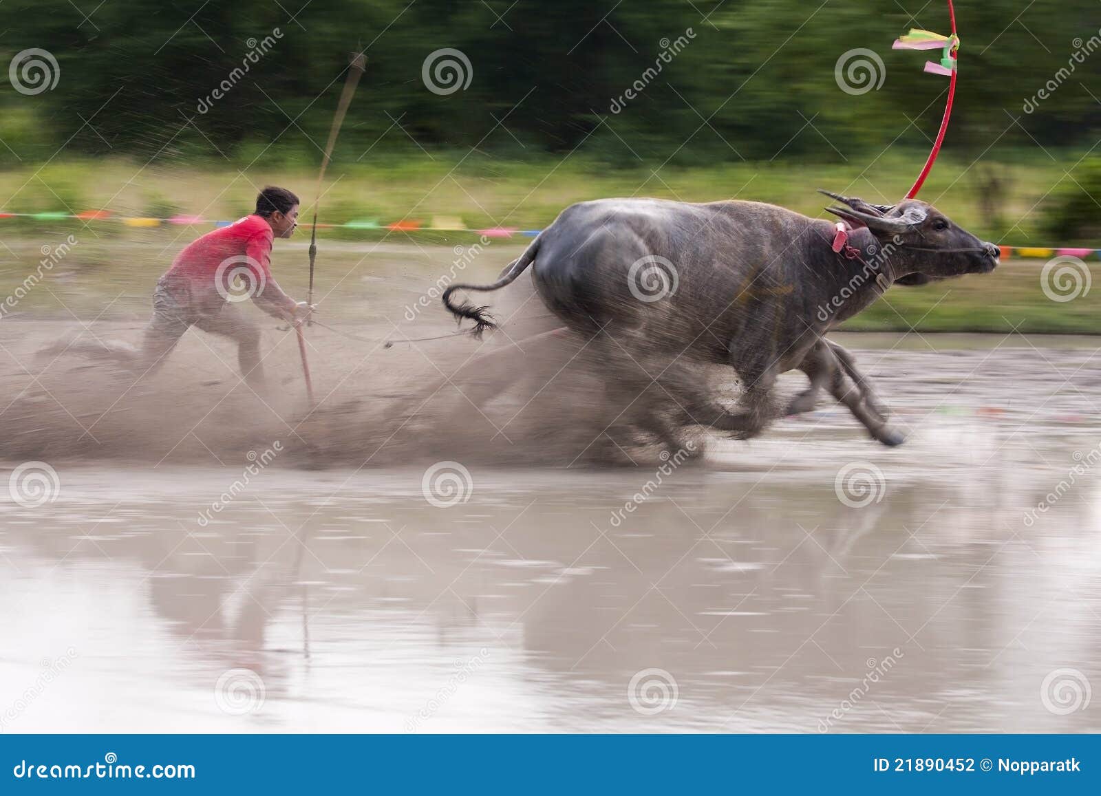 Buffalo Race editorial photography. Image of event, people - 21890452