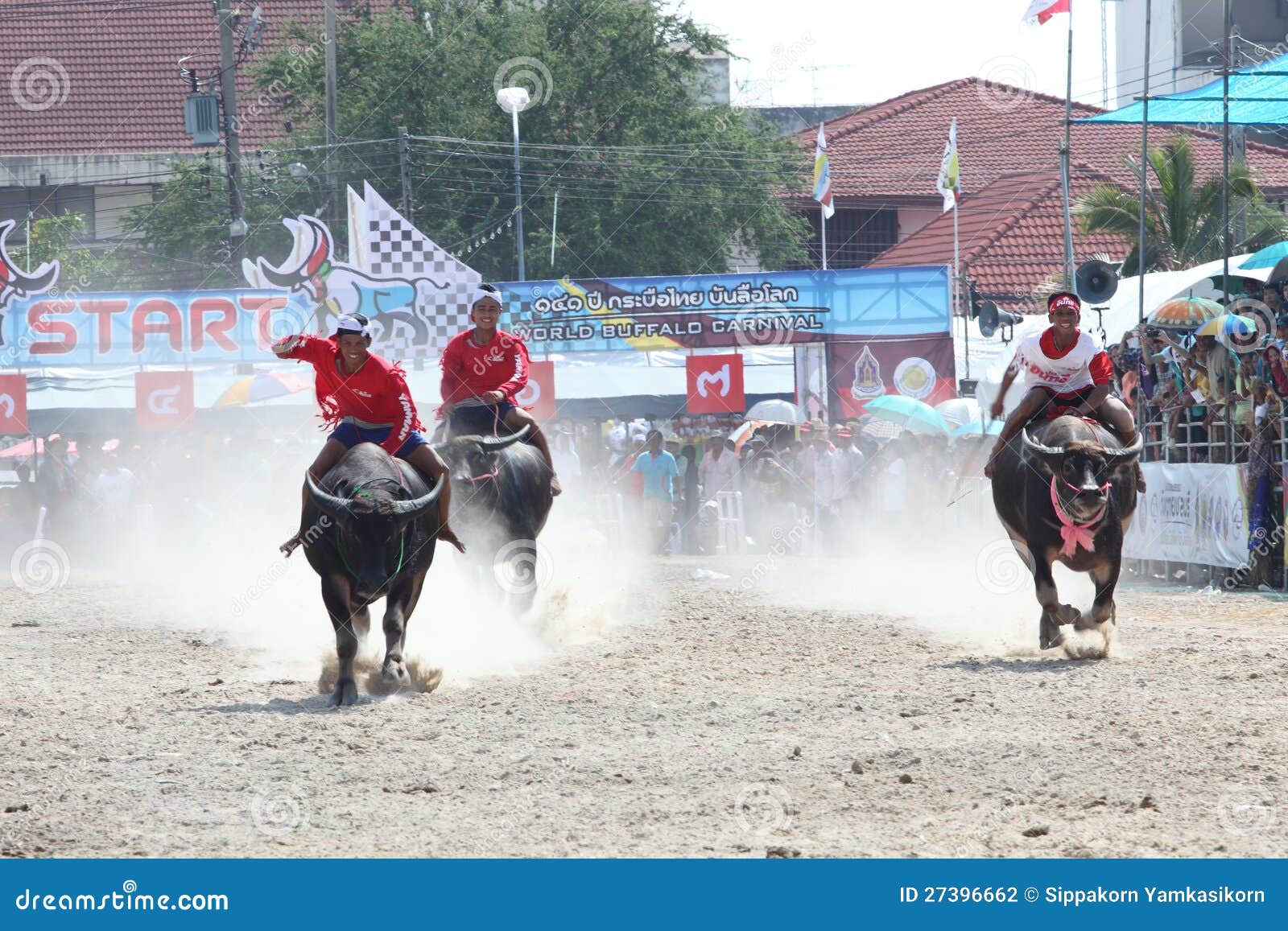 Buffalo race editorial photography. Image of speed, people - 27396662