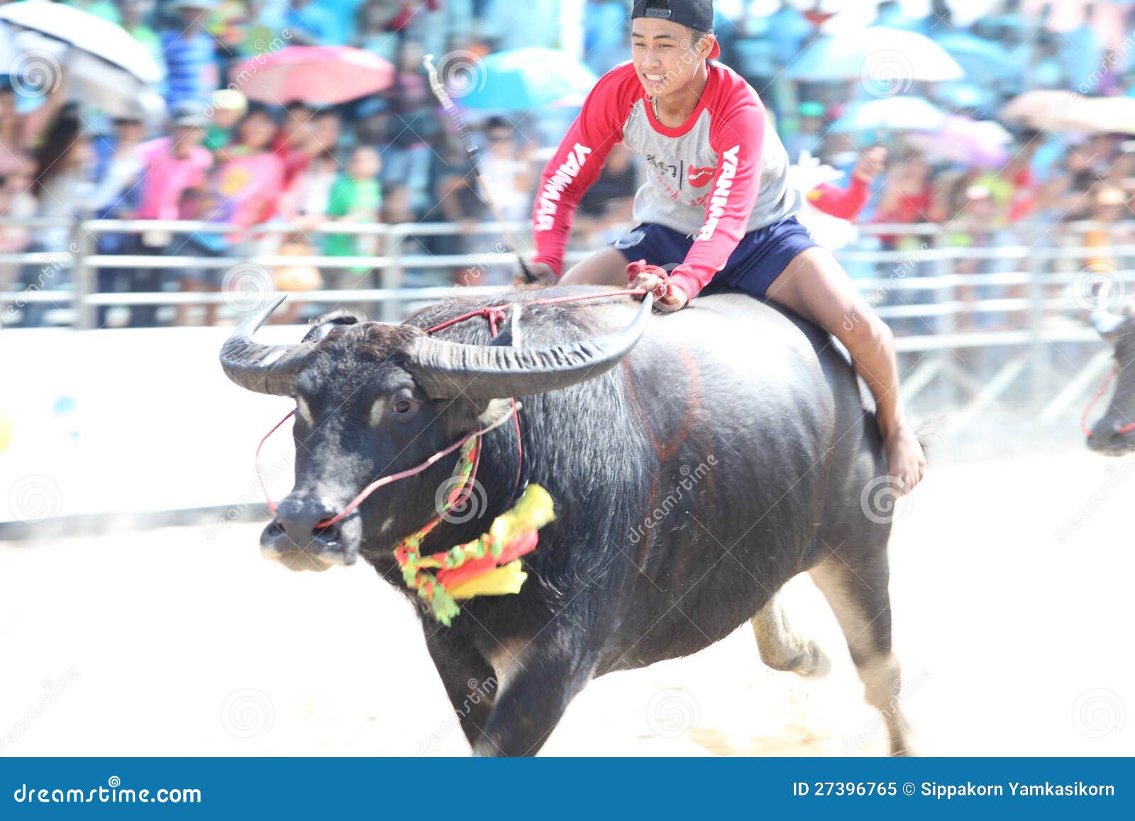Buffalo race editorial image. Image of buffalo, fast - 27396765